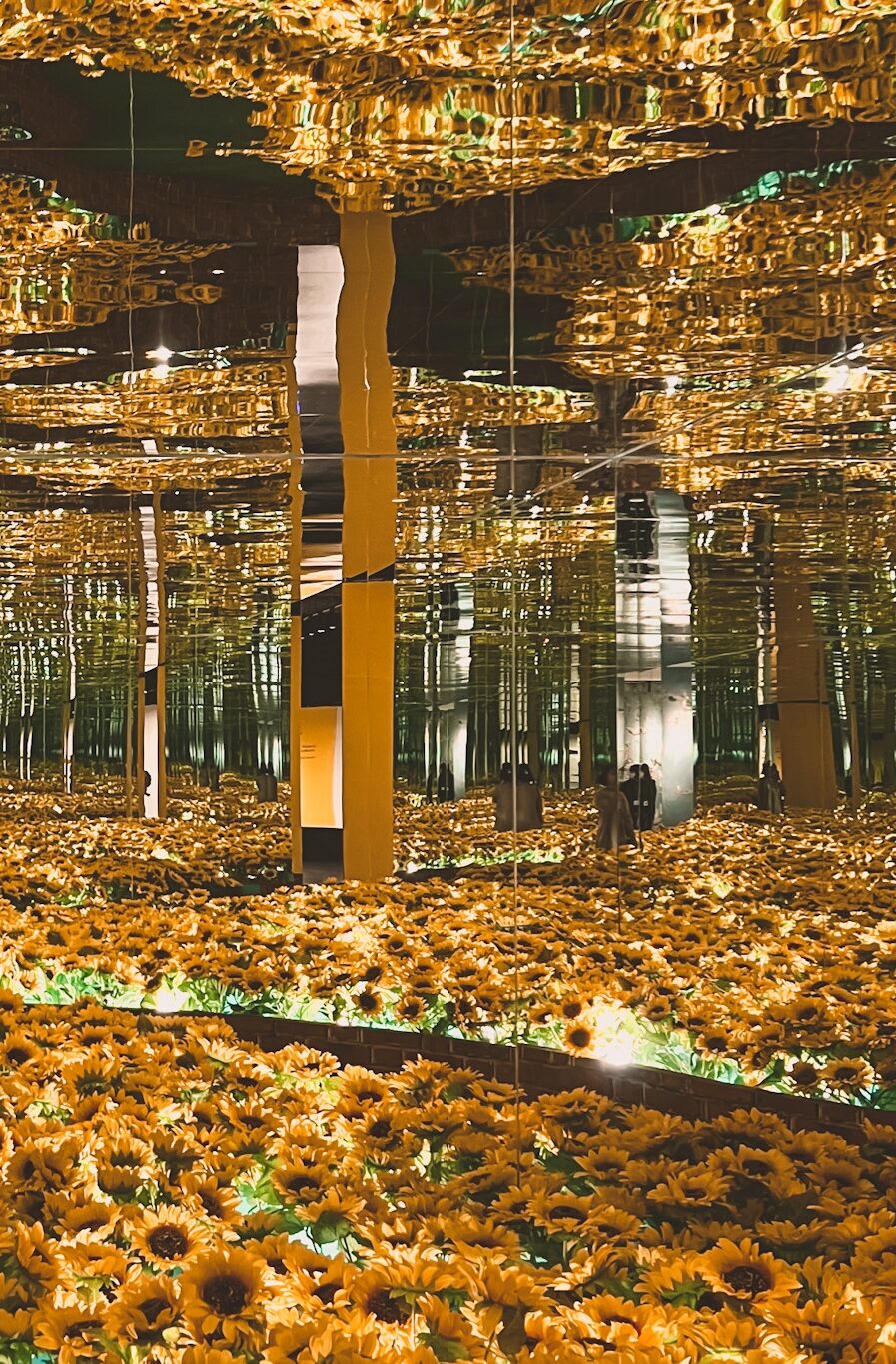 We Create Immersive Art Exhibitions – We Love Intellectual Property ...